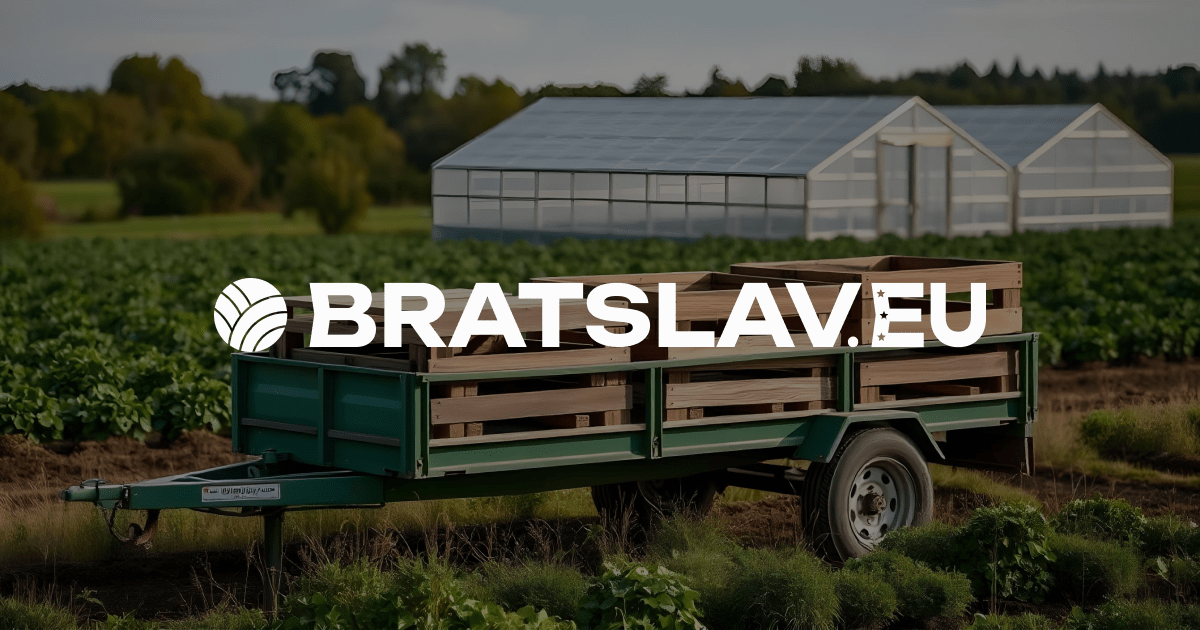 Sheep Farm Design | Efficient & Sustainable Solutions | Bratslav